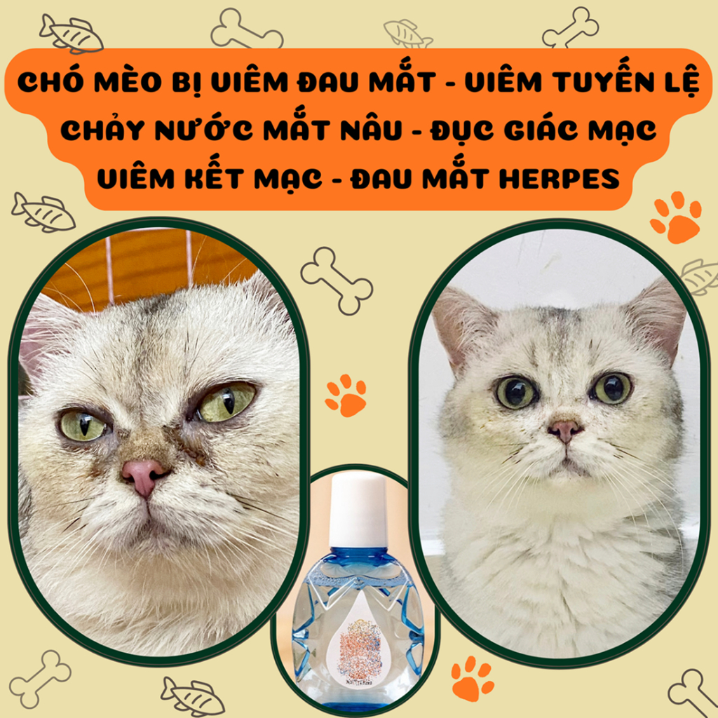 Eye AND NOSE DROPS 9 TYPES OF divine HERBS, domestic product in China ...