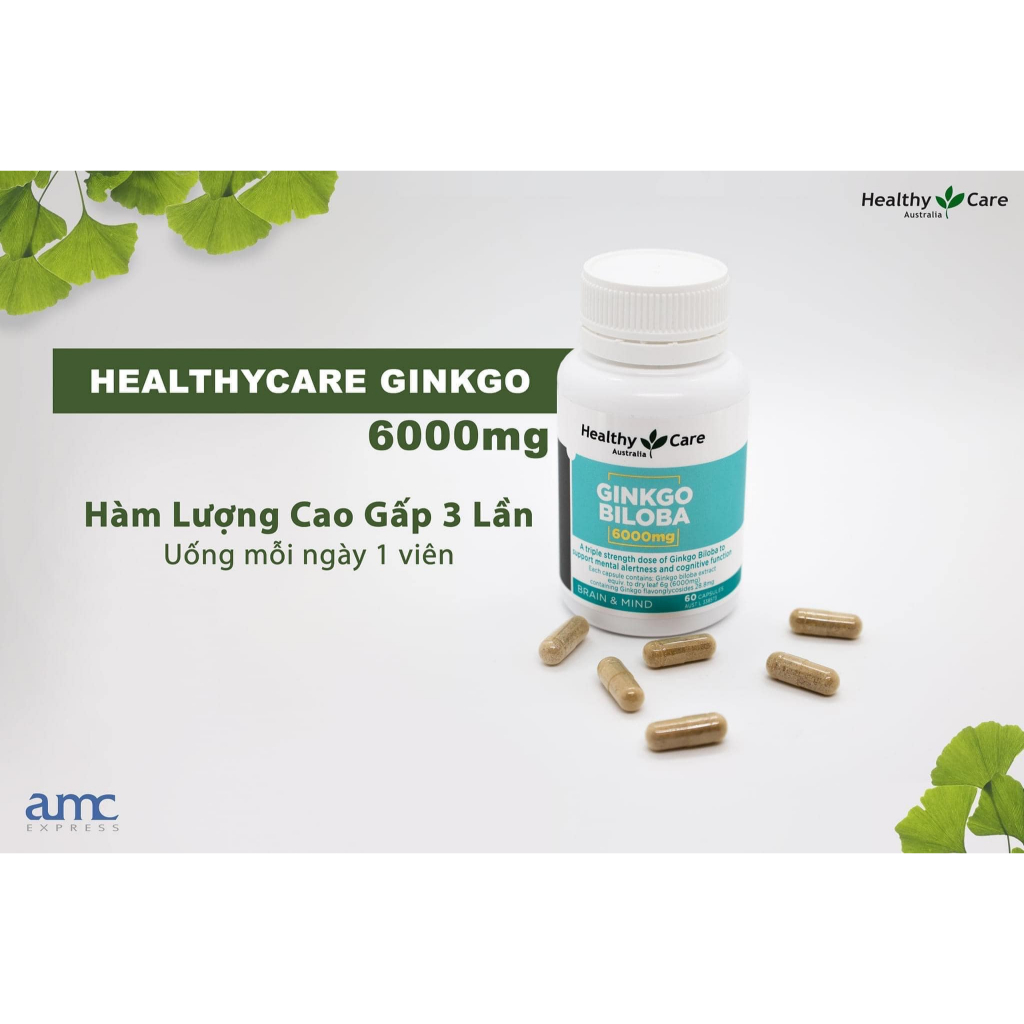 Healthy Care Ginkgo Biloba Brain Supplement 6000mg 60 tablets | Shopee ...