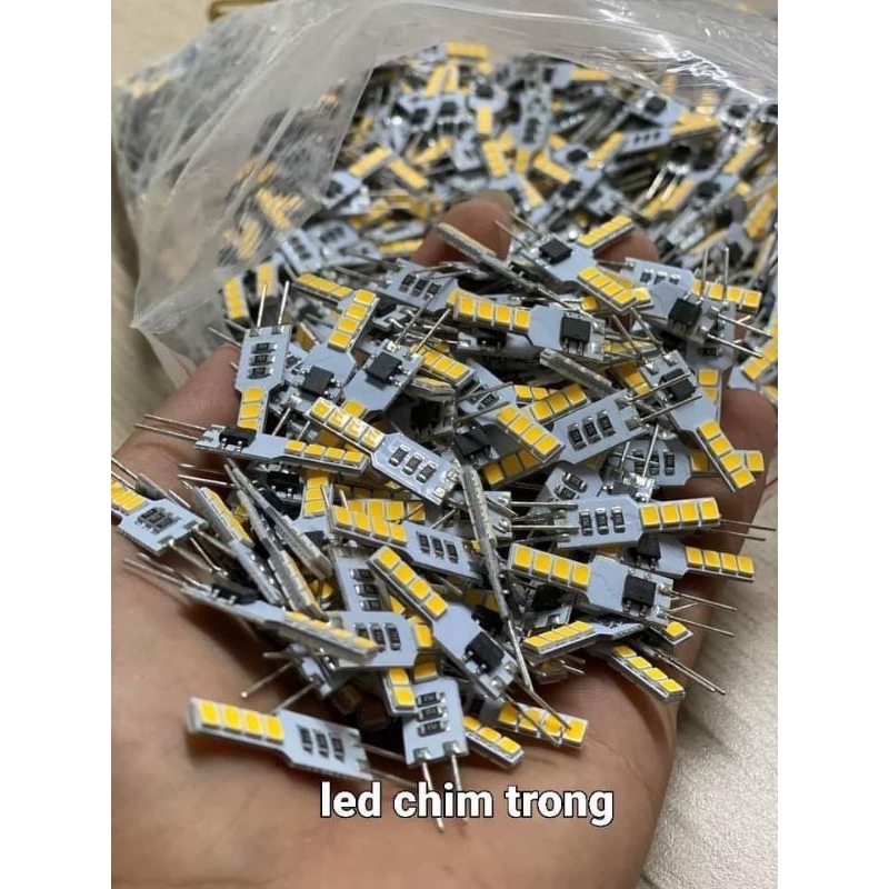 LED bulbs to replace faulty LED lights, clear bird lights, hedgehogs ...