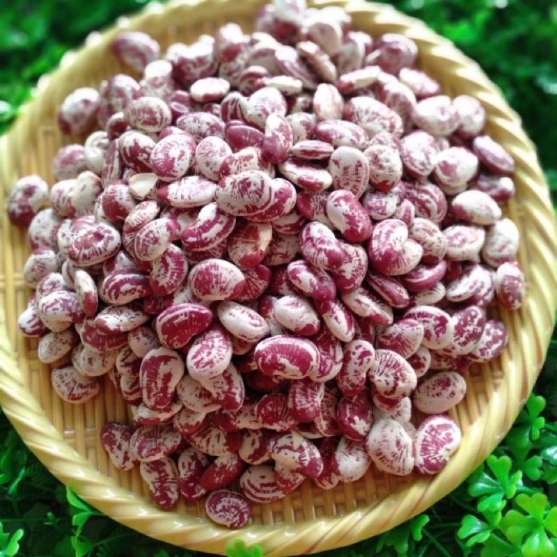 Da Lat royal beans/Organic royal beans, grade 1 specialty for making ...