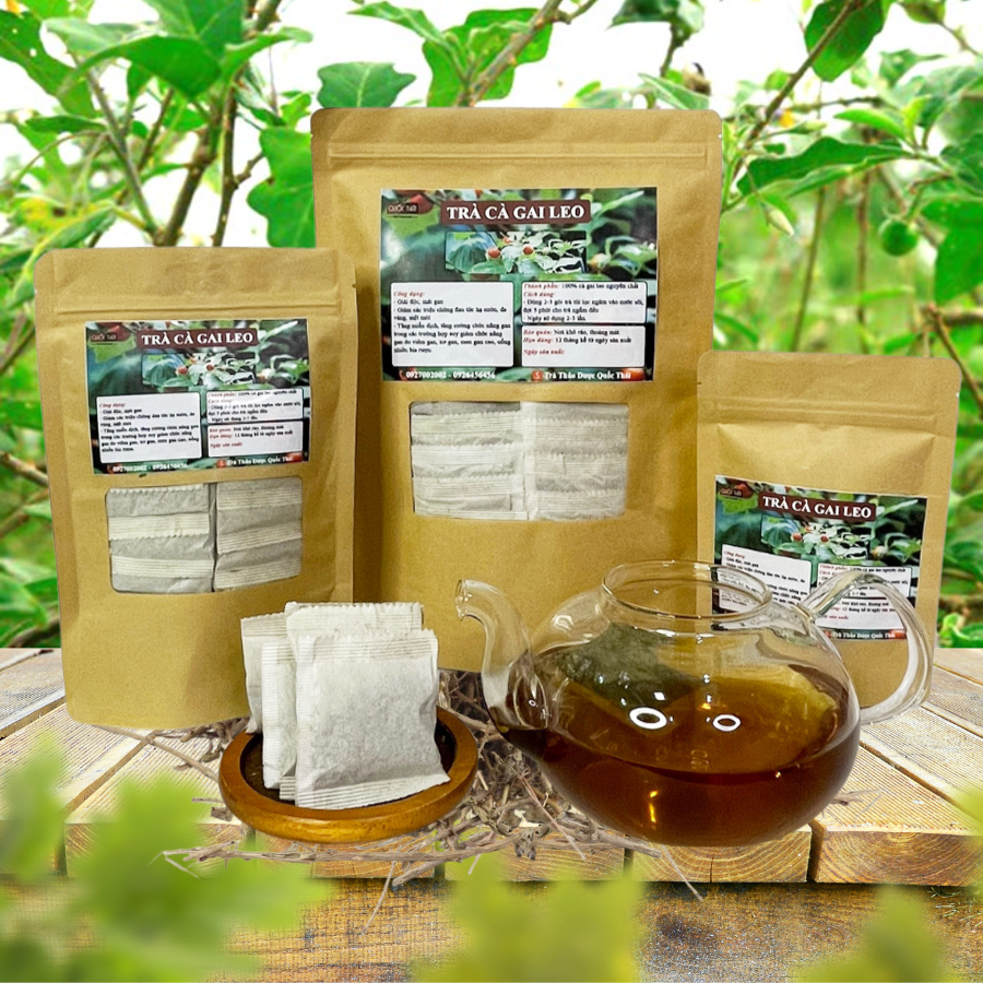 Ca Gai Leo Tea Bag Detoxifies the Liver, Clears Heat and Cools the Liver | Quoc Thai Herbal Tea ...