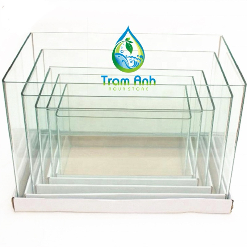 Glass fish tank - mini aquarium - Shrimp tank - Curved edge molded tank ...