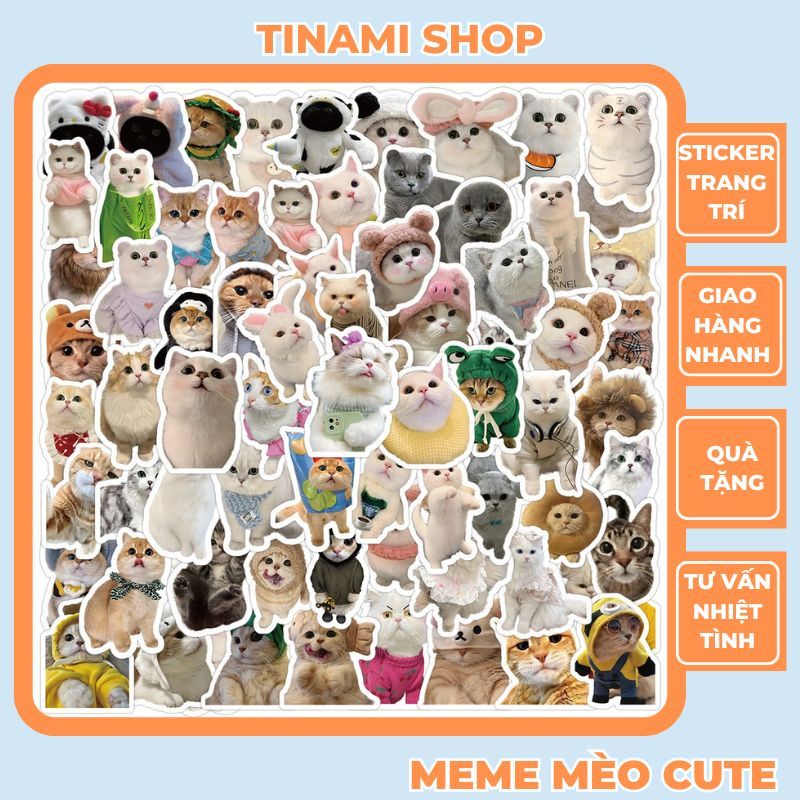 Set of 100 adorable cat meme themed stickers, cute cats, phone book ...