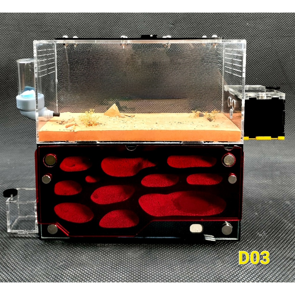 Ant cage - D03 - Ant farm - Formicarium - Ant Tank - Ant cage - Ant ...