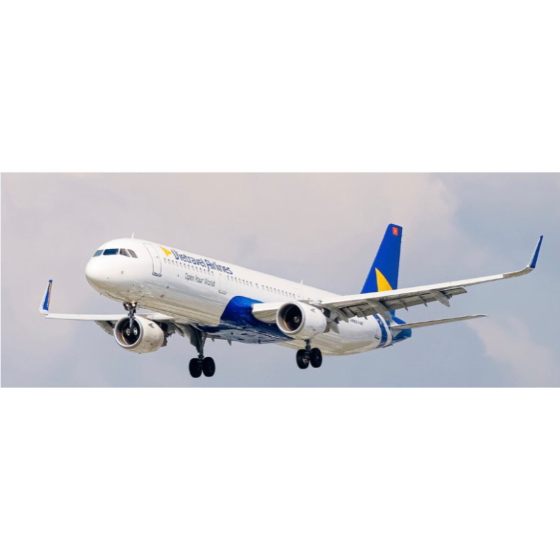 Airbus a321 viettravel airlines paper model 1:100 scale | Shopee Singapore