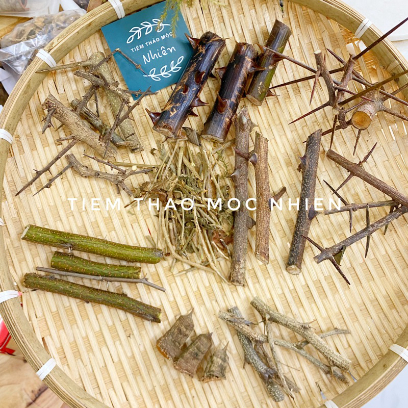 9 Types of Spikes and 7 Types of Thorns | Shopee Singapore