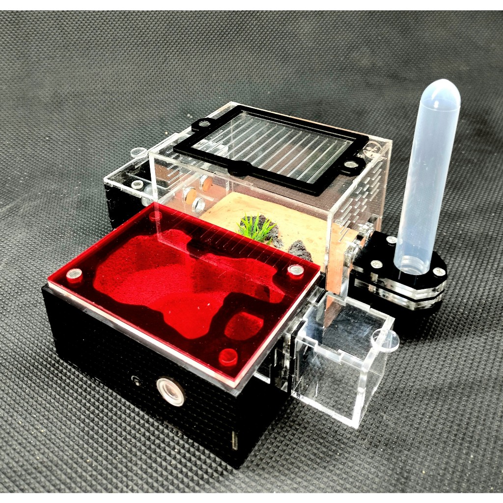 Ant cage - N01 - Ant farm - Formicarium - Ant cage - Ant Tank - Ant ...