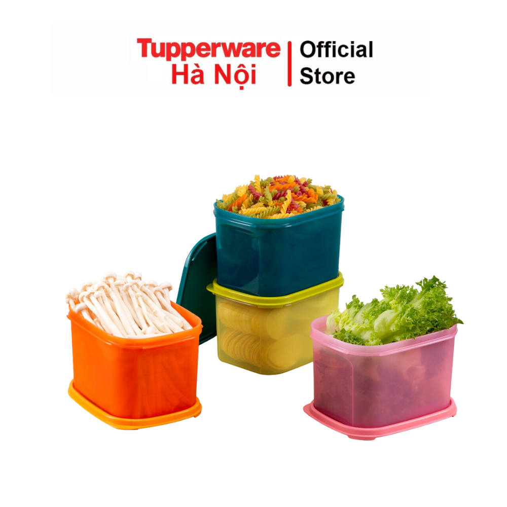 Colorful Rectangular Tupper 2 liter cool and dry storage box set of 4 ...