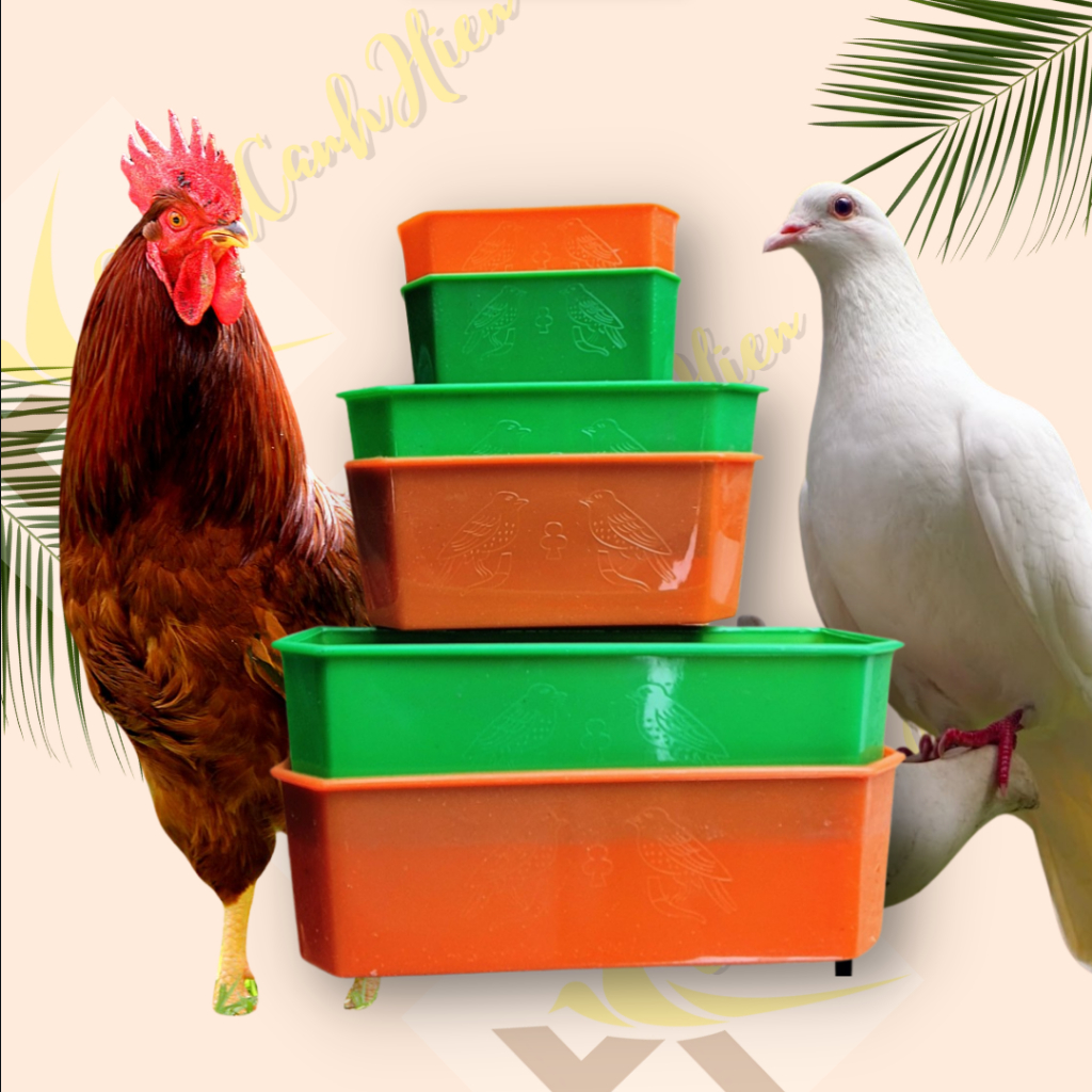 Food trough for birds - pigeons, chickens (many sizes) | Shopee Singapore