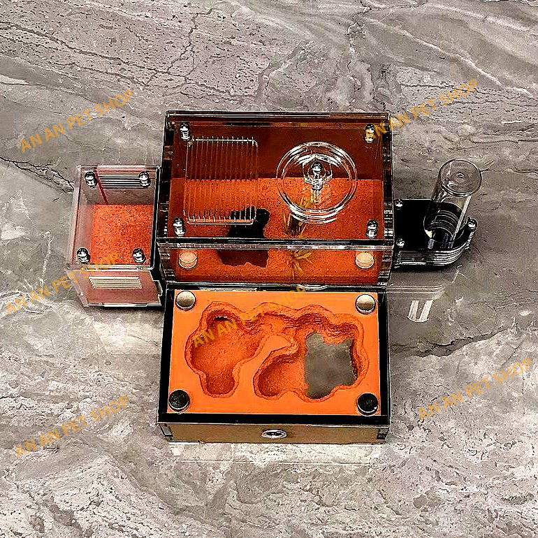 Red Earth Ant Tank | Medium Size Premium Mixed Plaster Tank | Shopee ...