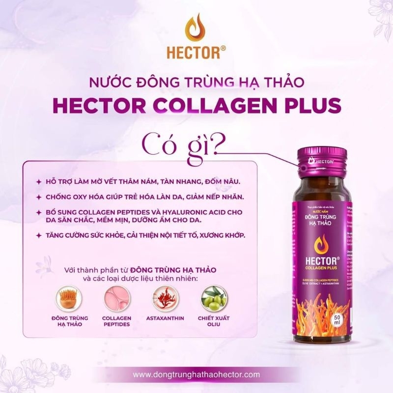 Collagen hector plus Water Form Rejuvenates Hormonal Balance Skin To ...