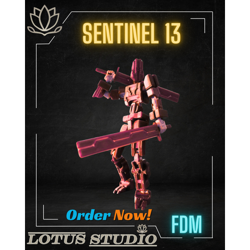 SENTINEL 13 (including armor and skeleton) | Shopee Singapore