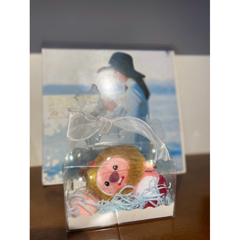 Birthday Mini Loopy Teddy Bear Gift Set/ Animal-shaped clay flower ...