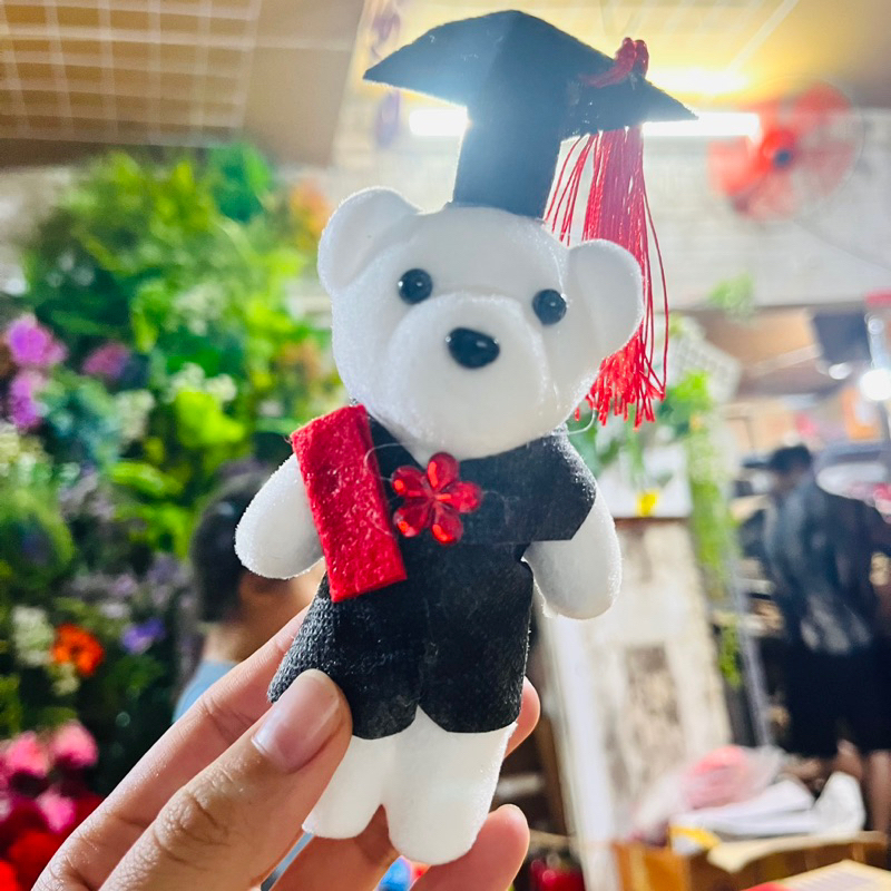 Bear for bouquets, graduation bears, flower bouquets, gift boxes - HN2 ...