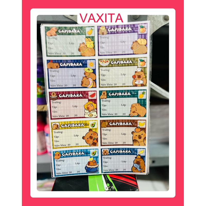 Combo of 50 cute Capybara, Loopy, Kuromi notebook labels (10 boxes) 5 ...