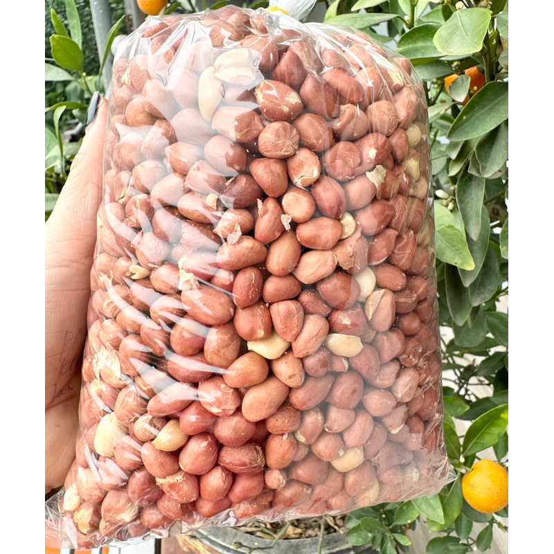 1kg Roasted Peanuts/Delicious Roasted Peanuts (Delicious Type) | Shopee ...