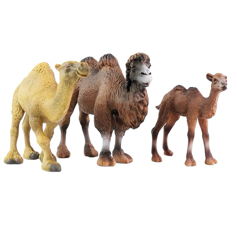 Camel toy model, display model, educational for children | Shopee Singapore