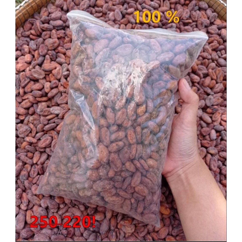 Dried, unroasted fermented cocoa beans! - 1 bag of pure, naturally ...