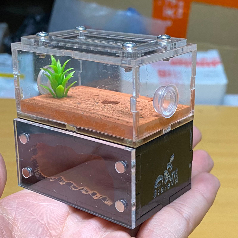 Ant Tank, Ant Nest, Vertical Plaster Ant Breeding Box, Ant Farming Cage ...