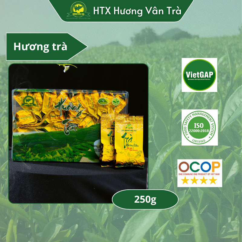 Tea Flavor - Van Tra Flavor - Traditional and Special - Tan Cuong Thai ...