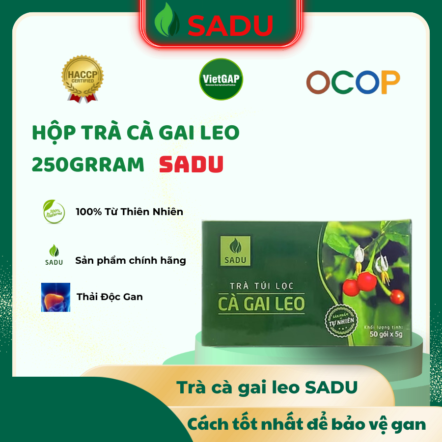 Sadu Solanum procumbens tea bag box, cools the liver, supports the ...