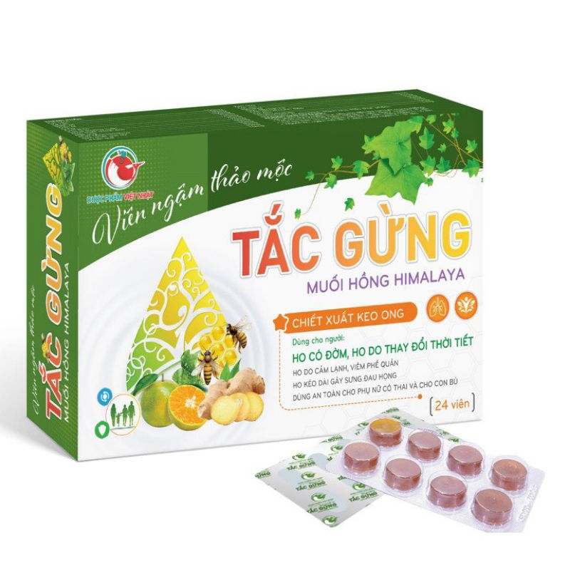 Himalaya Pink Salt Ginger Herbal Lozenge (Box Of 24 Tablets) | Shopee ...