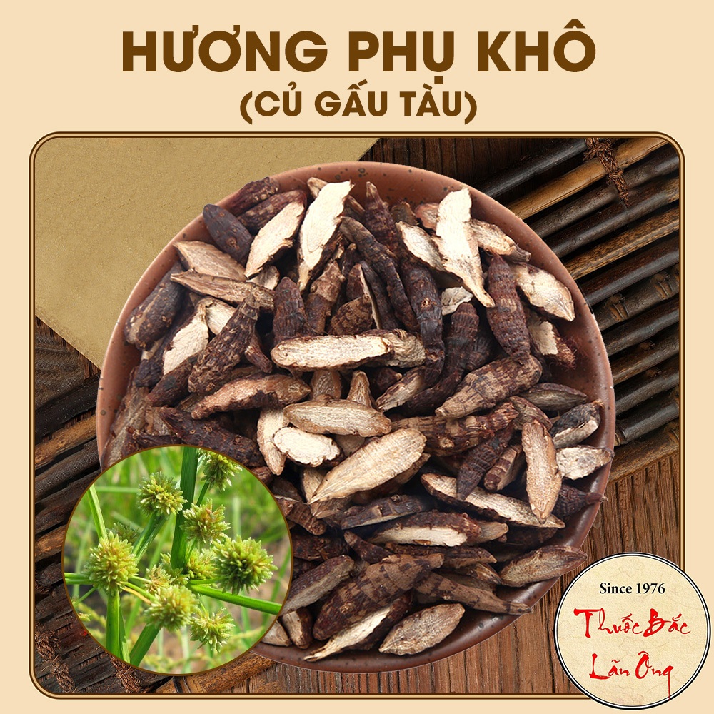 Dried tofu 100g (prepared Chinese bear root) | Shopee Singapore