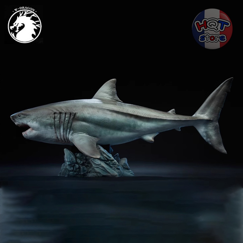 Ancient Megalodon W-Dragon Shark Model 1/35 scale 45cm | Shopee Singapore