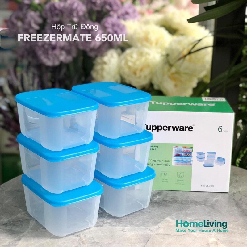 Tupperware MALL - Freezermate Freezer Box Set 650ml (6 Boxes) | Shopee ...