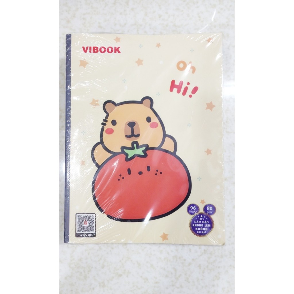 Lot of 10 capybara-shaped Vibook notebooks, 4 boxes, 96 pages (random ...