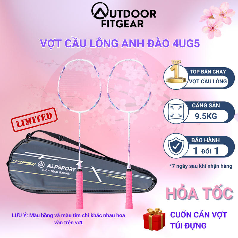 Alp-sport 4UG5 Cherry badminton racket pre-tensioned 10kg completely ...