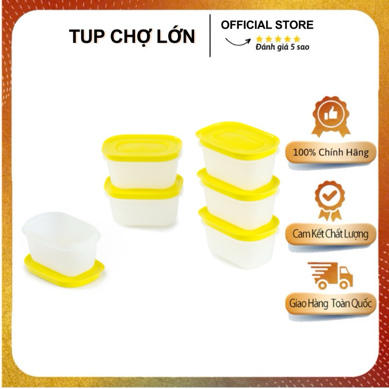 Mini Tupperware Freezer Box 170ml Freezermate Gen II - Genuine Cho Lon ...