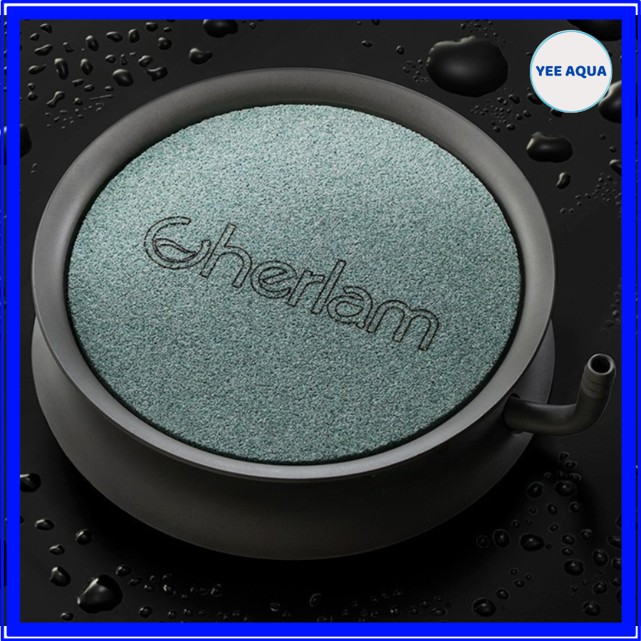 OXY CHERLAM Oxygen Effervescent Disc with Super Smooth Stainless Steel ...