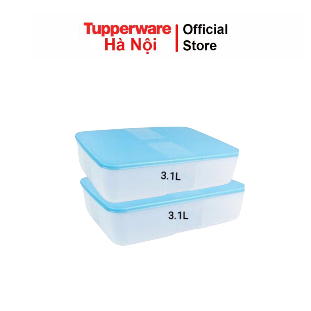 Genuine Freezermate Tupperware 3.1 Liter Freezer Box - lifetime ...