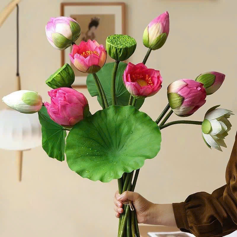 [Available] Guan Yin Lotus Branches, High Quality Bach Diep Lotus ...