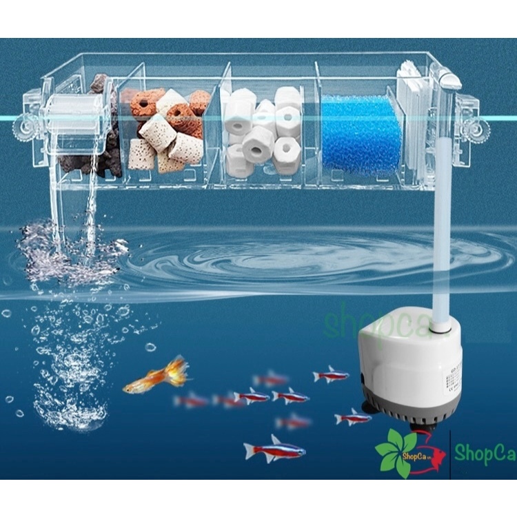Top overflow filter with beautiful transparent Jeneca pump for ...