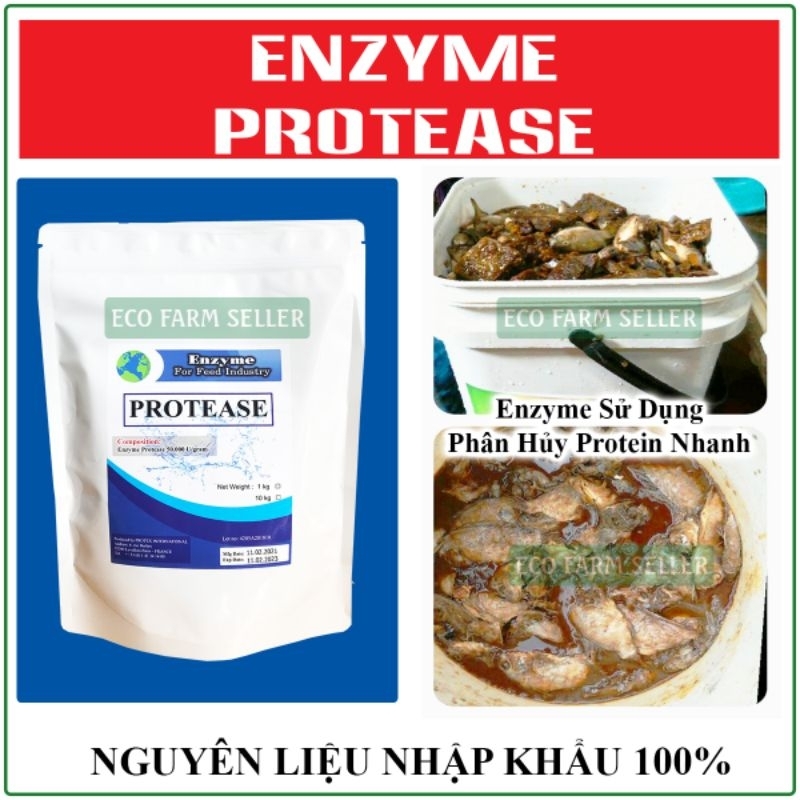 Package Of 100g Enzyme Protease Fish Manure Yeast 100% Imported ...