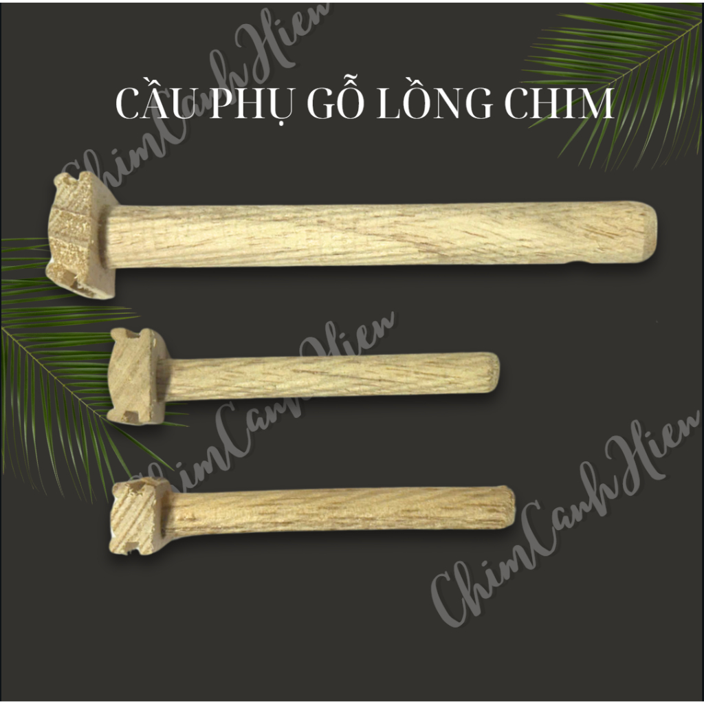 Auxiliary Bridge for Crested Bird Cages, Piercings, and Sunbirds of All ...