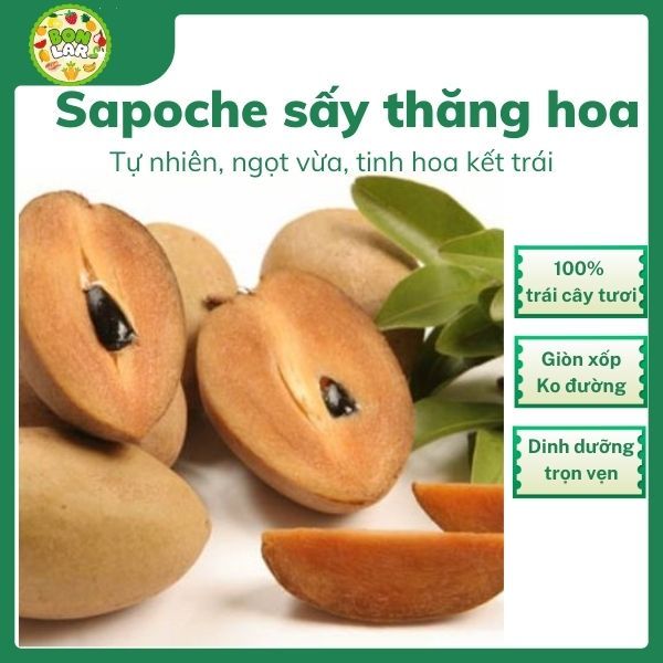 Sapoche dried sapodilla sublimation dried fruit, dried fruit, gift ...