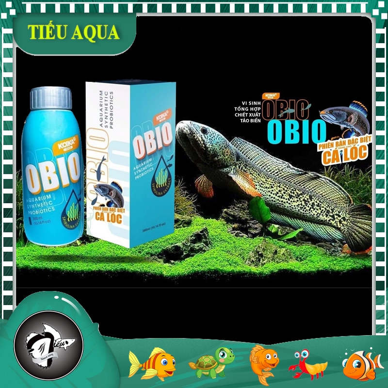 Obio Snakehead Fish - Special Microbiology for Snakehead Fish ...