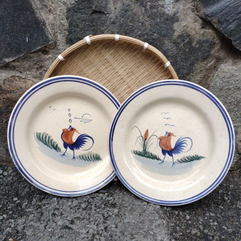Combo of 2 HIGH QUALITY CERAMIC CHICKEN PLATE 22CM (100% beautiful ...
