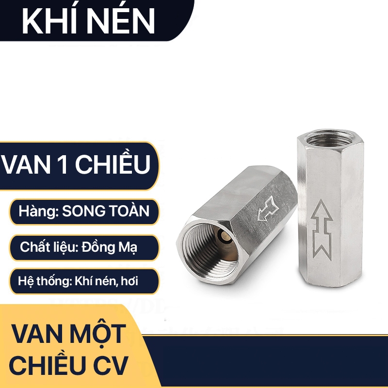 Steam One-Way Valve, Pneumatic One-Way Stop Lock PVN CV Installs ...