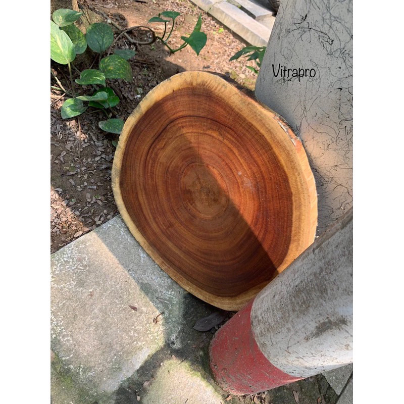 Acacia Wood Tree Stump Cutting Board/Tinwood Tree Stump for Slicing ...
