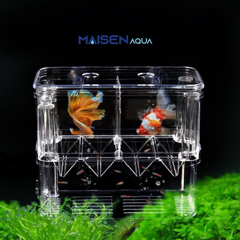2-tier Mica Box for Fish Care, Shrimp Breeding Cage, 7-Color Fish ...