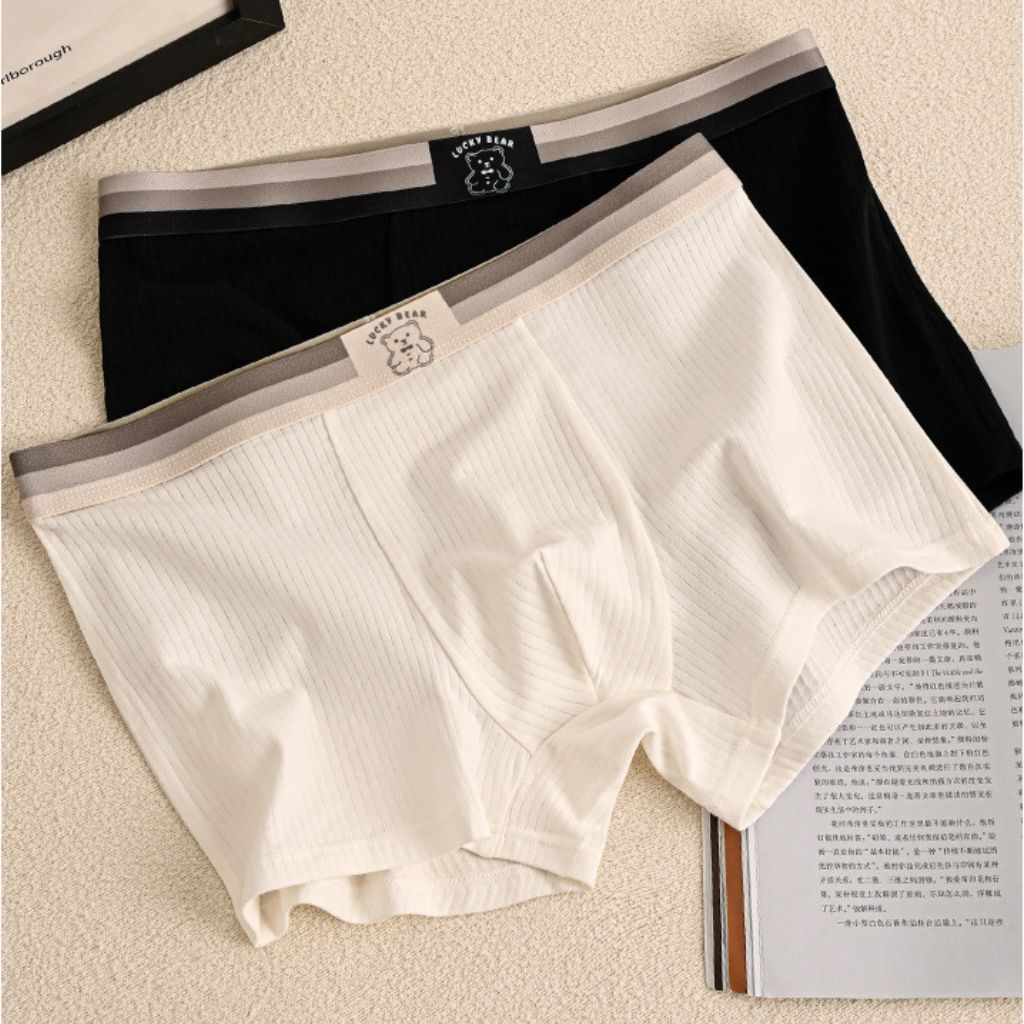 Set of 4 men's boxer briefs cotton bamboo fiber elastic thigh briefs ...