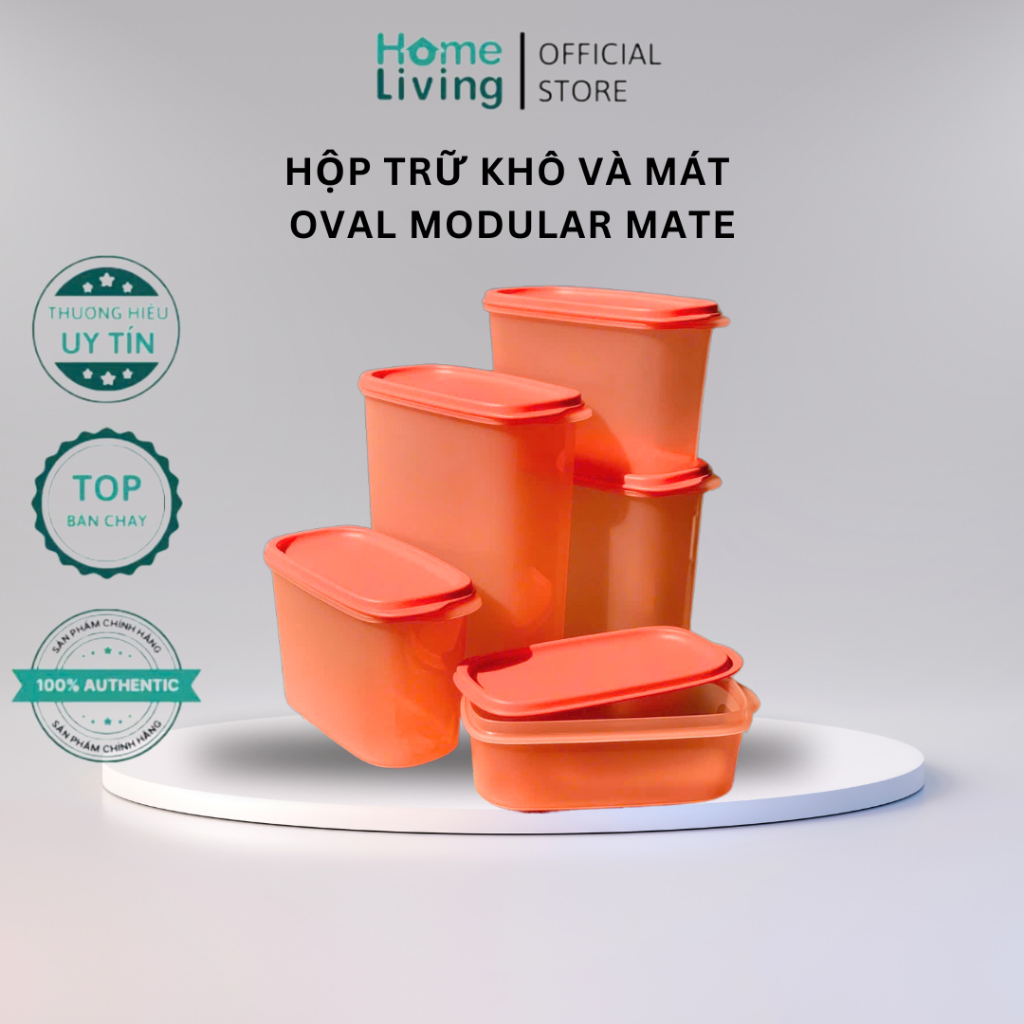 Tupperware Oval Modular Mate Set of 5 Cool and Dry Storage Box (Single ...