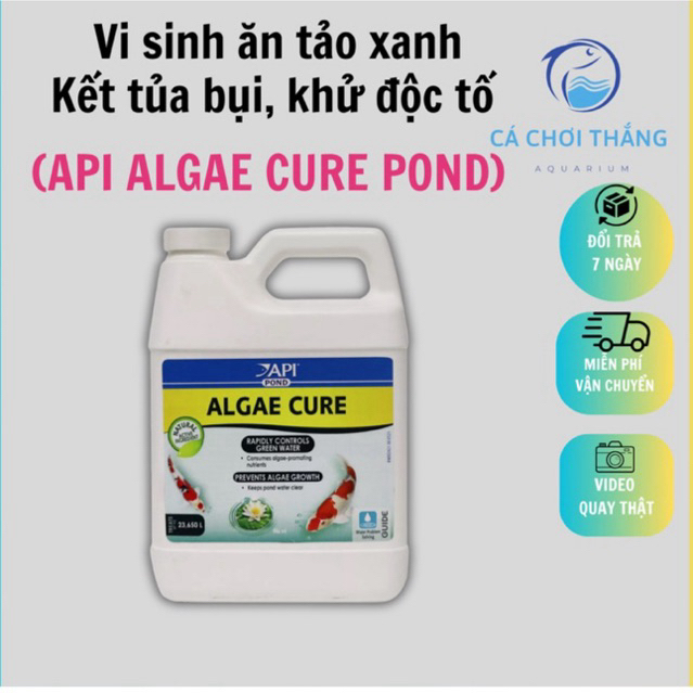 API ALGAE CURE POND microbiology - Quickly treats green ALGAE in water ...
