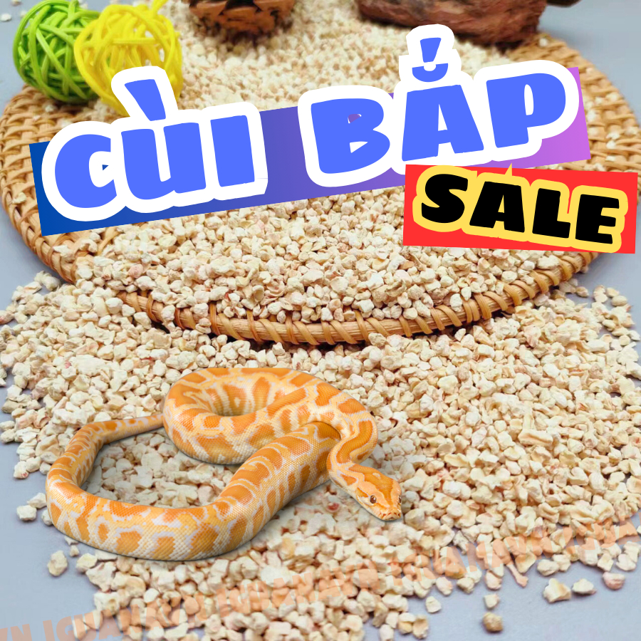 CORN SANDS FOR PET CAGES, HAMSTER Reptiles CHINCHILA AUSTRALIAN DRAGON ...