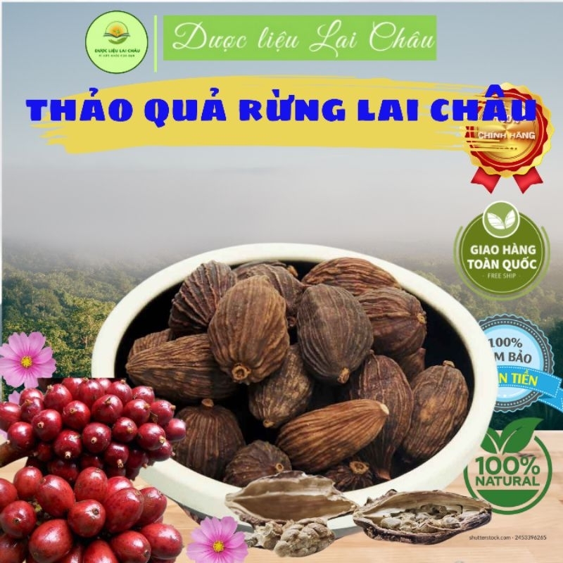 Premium Forest Cardamom (super fragrant) Northwest specialty (Lai Chau ...