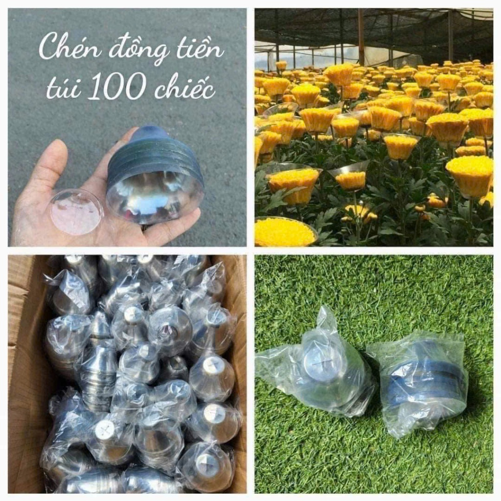 Plastic coin cups (1 bag/100 pieces) - plastic cups to support gerbera ...